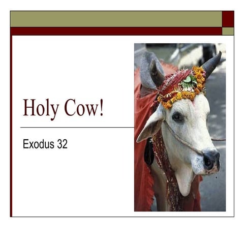 Holy Cow | PPT