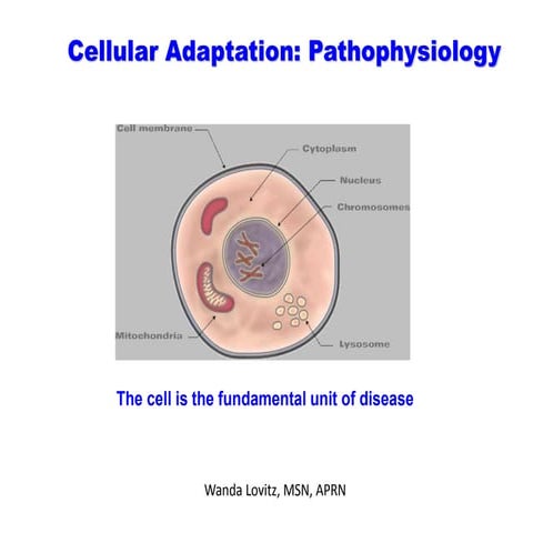 PP Cellular Adaptation .ppt