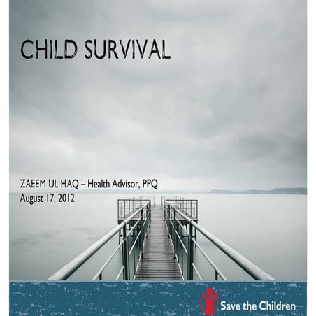 Child Survival Programme Framework | PDF