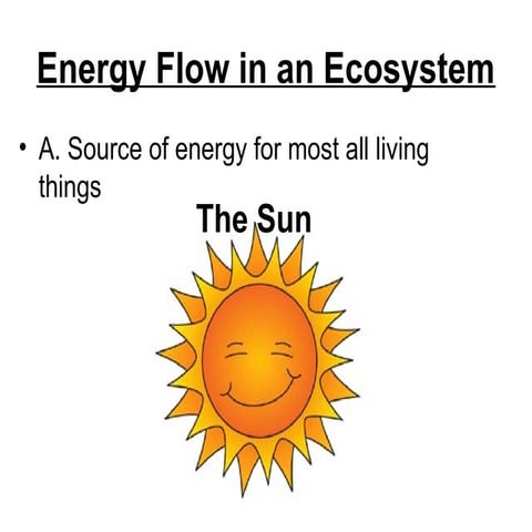 PP Energy Flow and Trophic Levels3 ppt hw | PPT