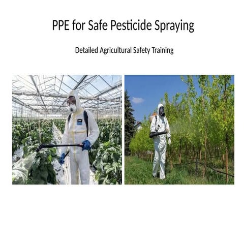 PPE_Pesticide_Spraying_FINAL_Detailed.pptx