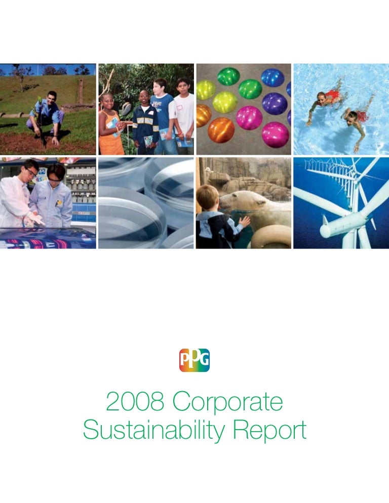 PPG Industries Corporate Sustainability Report - 2008