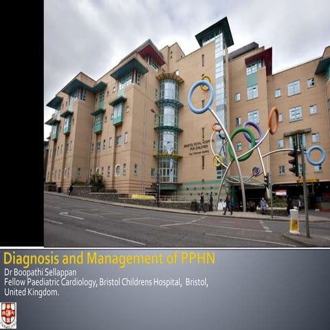 Pphn management | PPSX