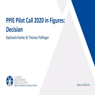 PPIE Pilot Call 2020 in Figures: Decision | PPT