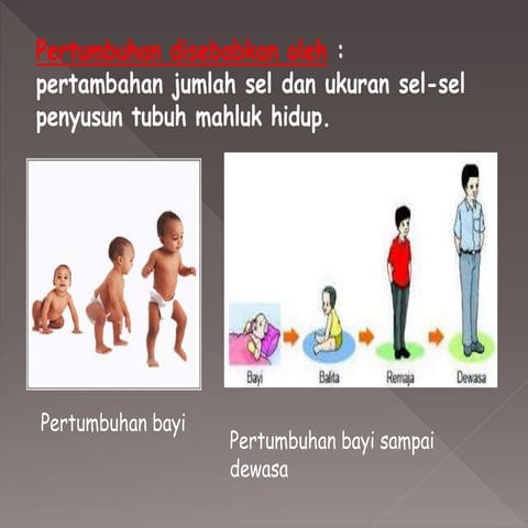 Pertumbuhan dan perkembangan manusia | PPTX