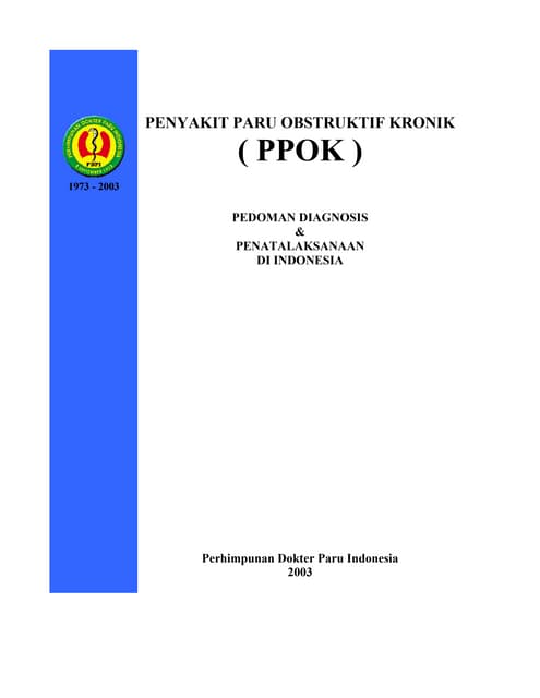 PPOK | PDF