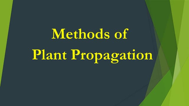 Propagating Trees & Fruit-Bearing Trees.pptx