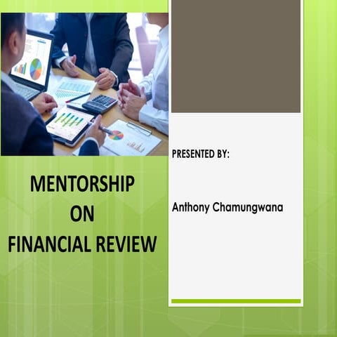 PPP - FINANCIAL REVIEW MENTORSHIP.pdf