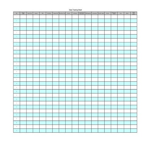 Ppp tracking-sheets budget | XLS