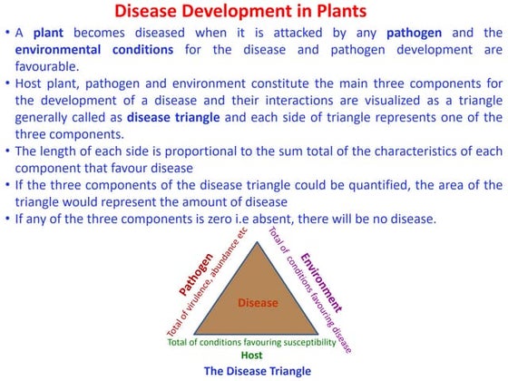 Disease triangle and disease cycle | PDF | Infectious Diseases ...