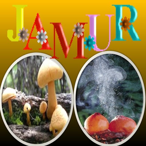 Jamur | PPT