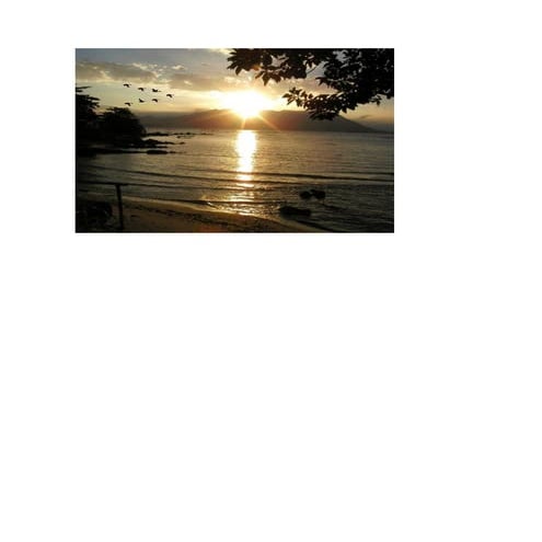 Pppppppppppppppppp | DOC