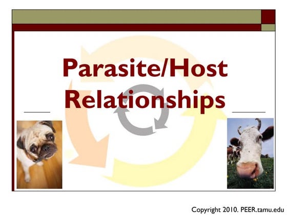Classification of medical parasites | PPTX