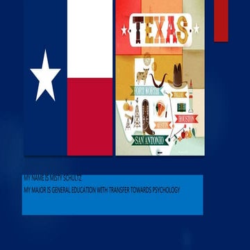 Texas government | PPTX