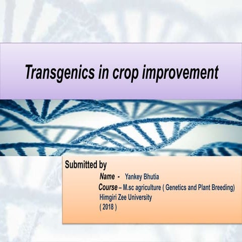 Transgenics in crop improvement | PPTX