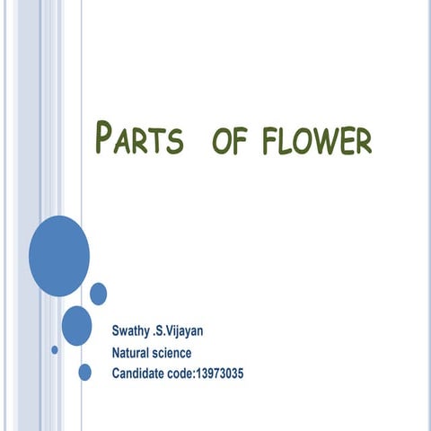 Parts of flower | PPTX