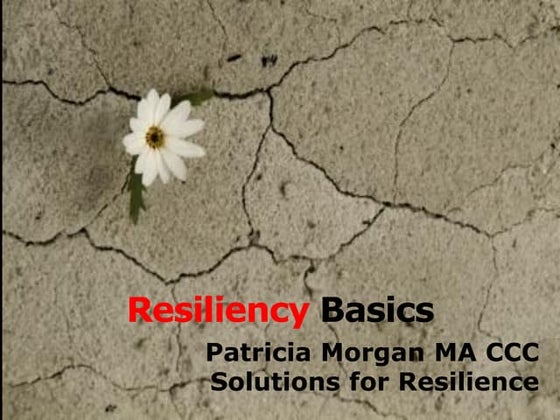 Master Resilience Training monthly modules | PDF