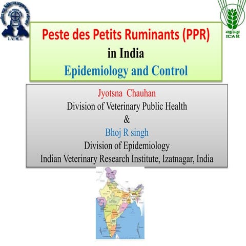 Peste des Petits Ruminants (PPR) in India Epidemiology and Control | PPTX