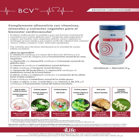 BCV 4Life | PDF