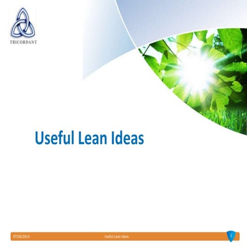 Pp slide set 12 useful lean ideas | PPTX