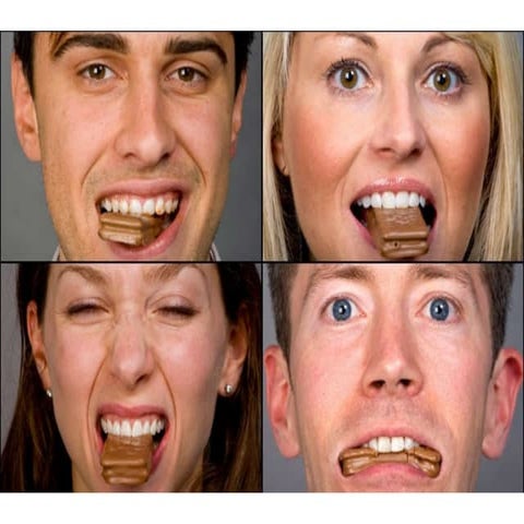 Tim Tam Process | PPT