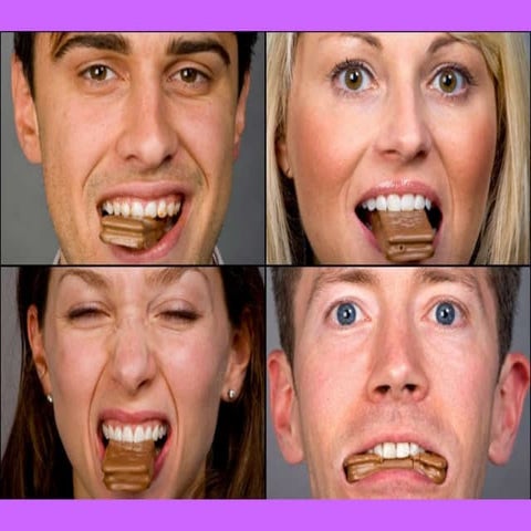 Tim Tam Process | PPT