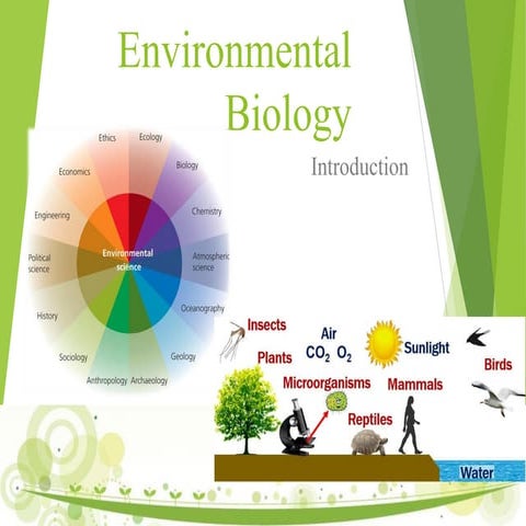 Ecological pyramids ppt | PPTX