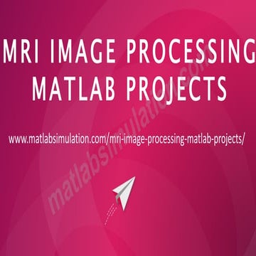 MRI Image Processing Matlab Projects Research Assistance | PPT