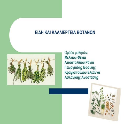 Ειδη και καλλιεργεια βοτανων (Ppt) | PDF