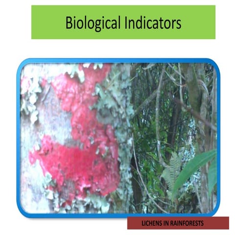 plant indicators | PPTX
