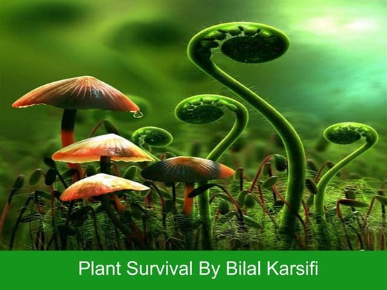 Plant habitats | PPT