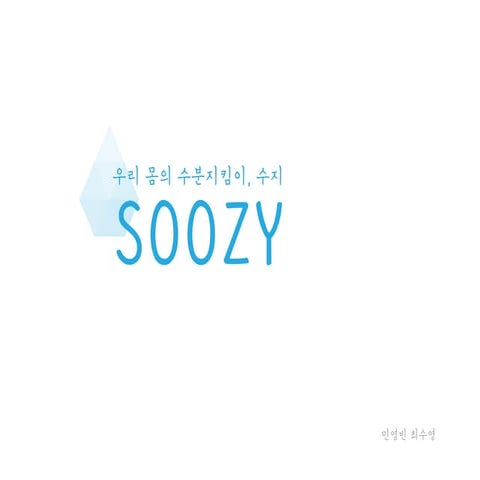 SOOZY Final PPT | PDF