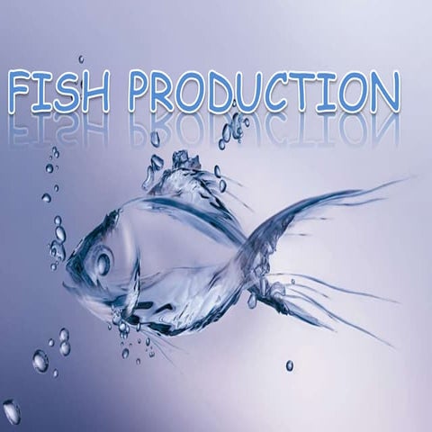 Fish Farming: Sources and Methods of Obtaining Fish | PPT