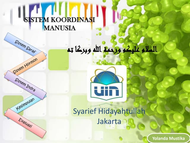 Indra penglihatan (mata) | PPTX