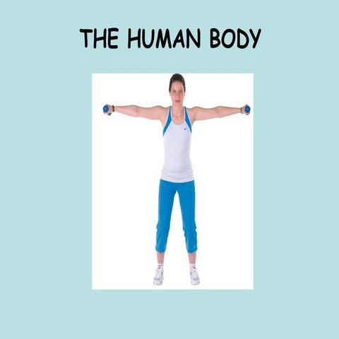 The human body | PPT