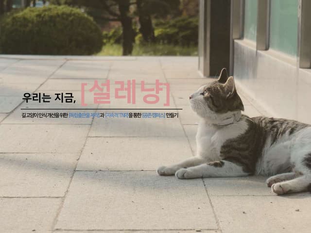 шаблон Drag anddrop | PPT