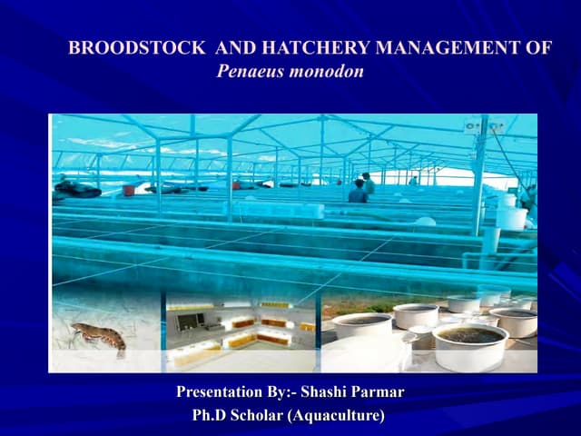 Fishs HATCHERY MANAGEMENT 1 LECTURE.pptx