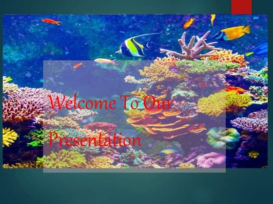 Coral reef presentation | PPT