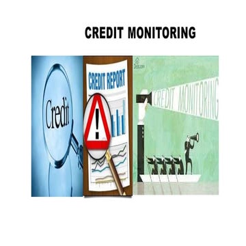 STAGES OF CREDIT MONITORING PPT-2.pptx