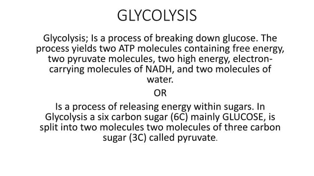 Glycolysis Presentation - CHO Metabolism | PPTX