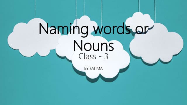 Presentation of nouns | PPT
