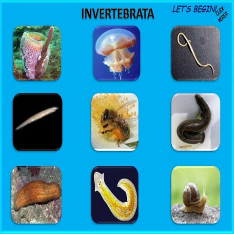 PPT Interaktif Invertebrata | PPTX