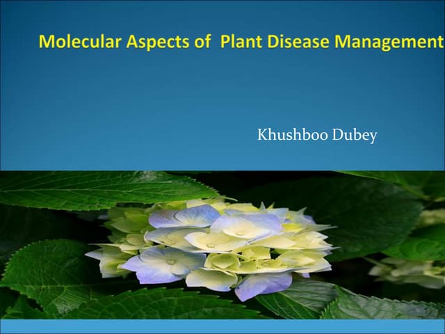 Disease resistance in plants | PPTX