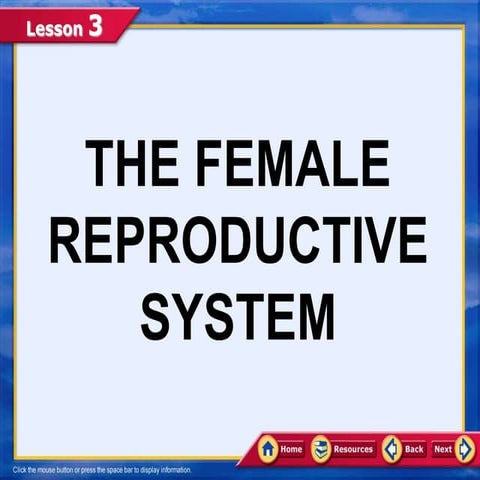 12-13 Female Reproductive System PowerPoint.ppt