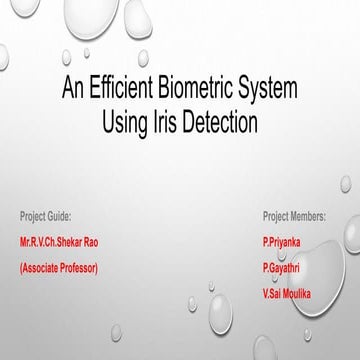 Effective Biometric system with using of iris detection.pptx