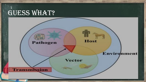 Multifactorial causation of disease | PPTX | Infectious Diseases ...