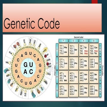 ppt. Genetic Code molecular biology.pptx