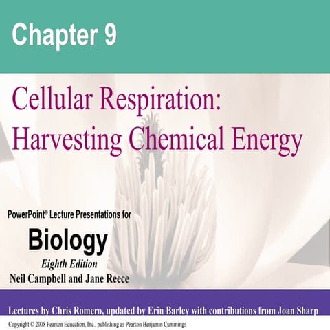 Ppt Ap Bio Lecture Presentation Ch 09 Ppt