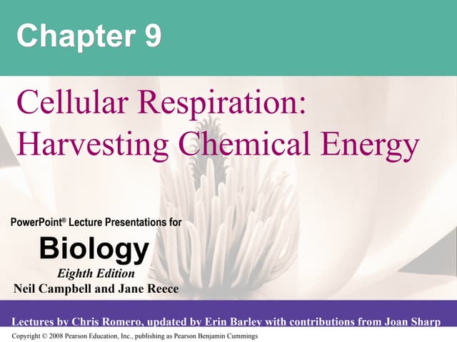 Ppt Ap Bio Lecture Presentation Ch 09 Ppt