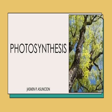 8th Grade Science: Photosynthesis Slides | PDF